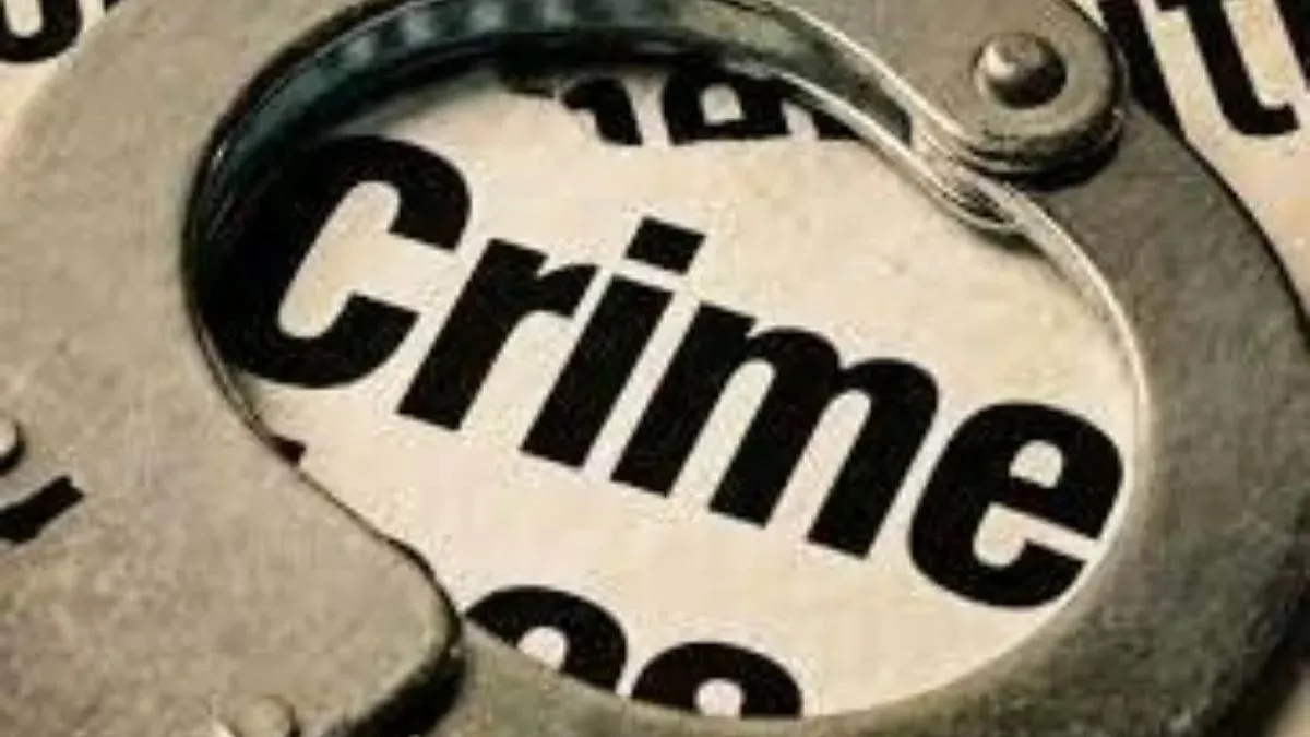 Indian Man Fakes Marriage, Claims Abuse, Faces Jail In US Immigration ...