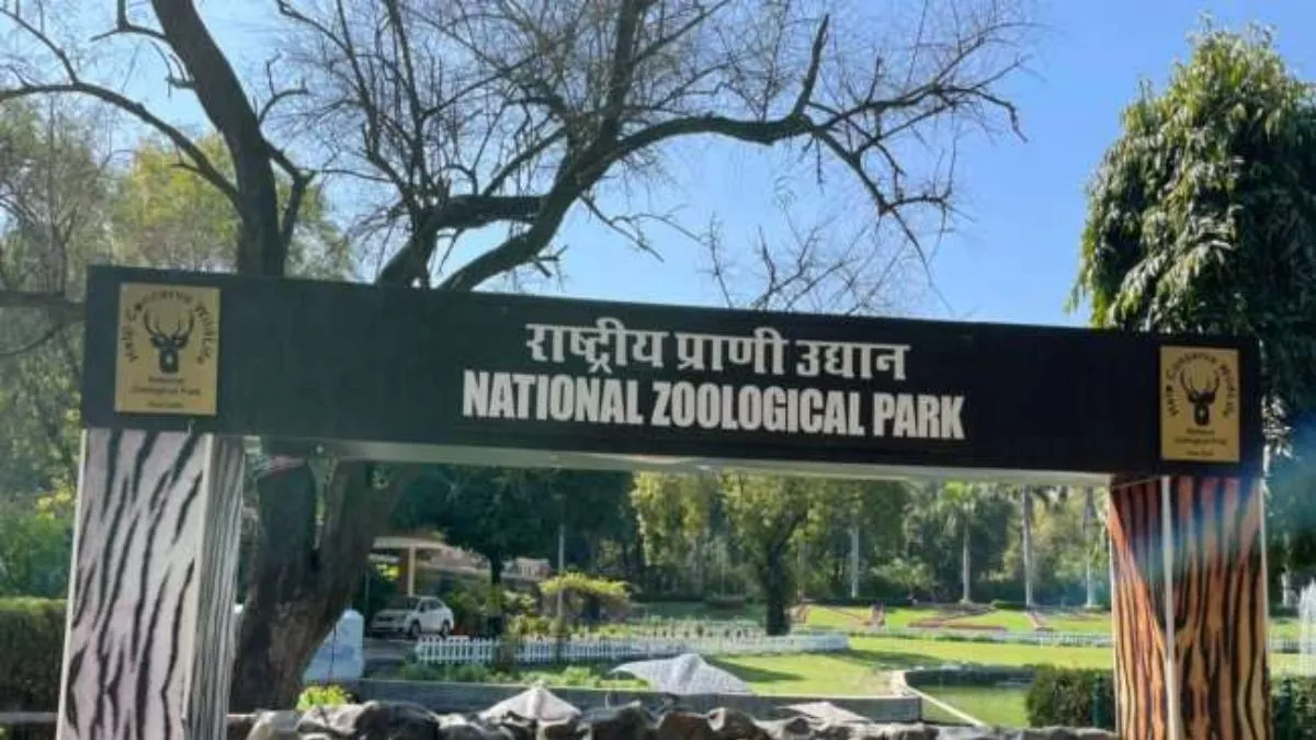 Delhi Zoo Revamp: Night Safari, Combo Tickets With Purana Qila To ...