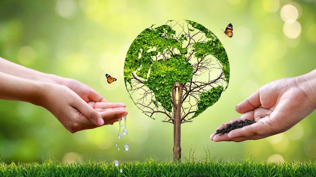 World Environment Day 2025: Know Date, Theme, History And Significance ...