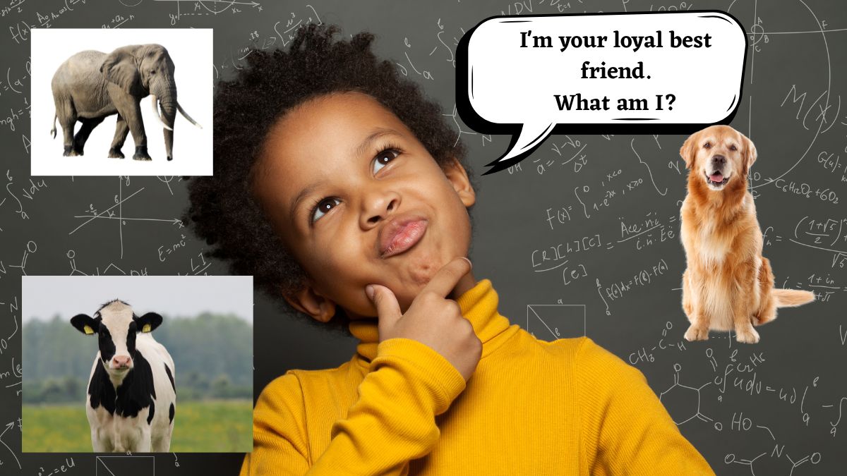 50+ Fun What Am I? Animal Riddles For Kids: Guess The Animal