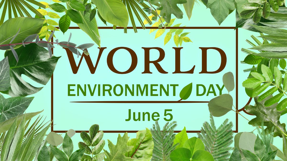 50+ Motivational Quotes To Save Nature On World Environment Day 2025