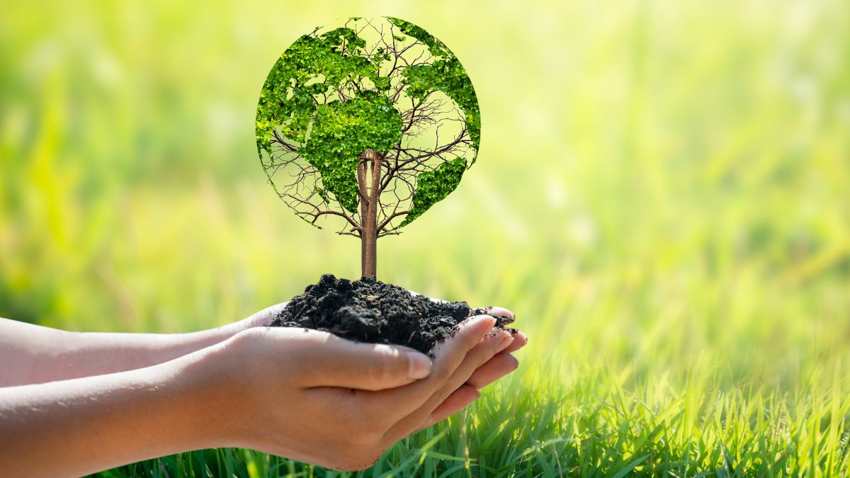 50+ Motivational Quotes To Save Nature On World Environment Day 2025