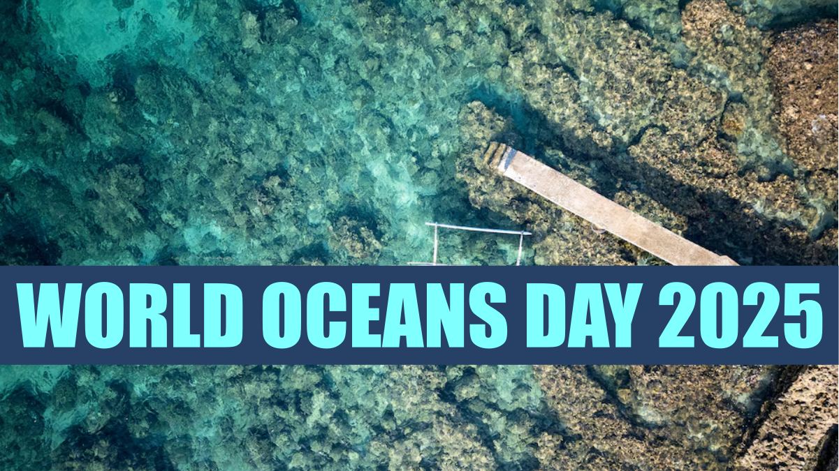 World Oceans Day 2025: Crucial For Climate, Food Security, UN Urges ...