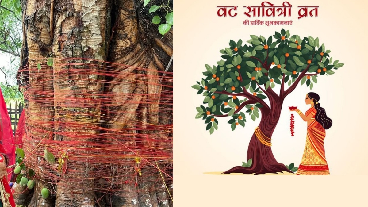 Happy Vat Savitri Vrat 2025 Status Videos: Download Free Short Videos ...
