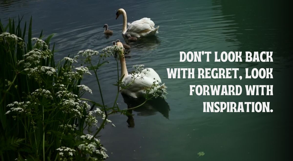 50+ One-line Positive Quotes On Life