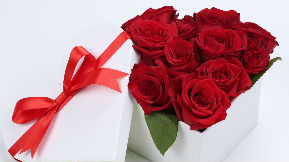 50+ Creative Uses Of Red Roses To Know On National Red Rose Day 2025