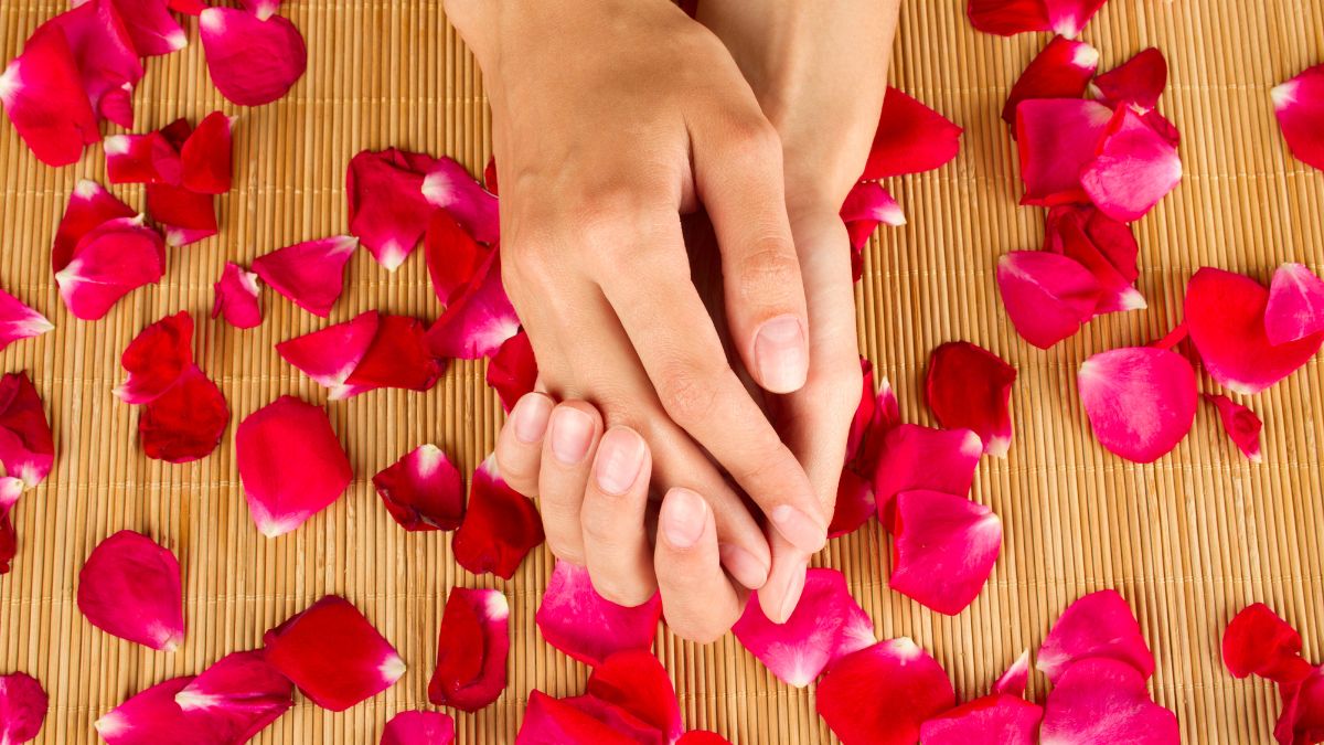 50+ Creative Uses Of Red Roses To Know On National Red Rose Day 2025