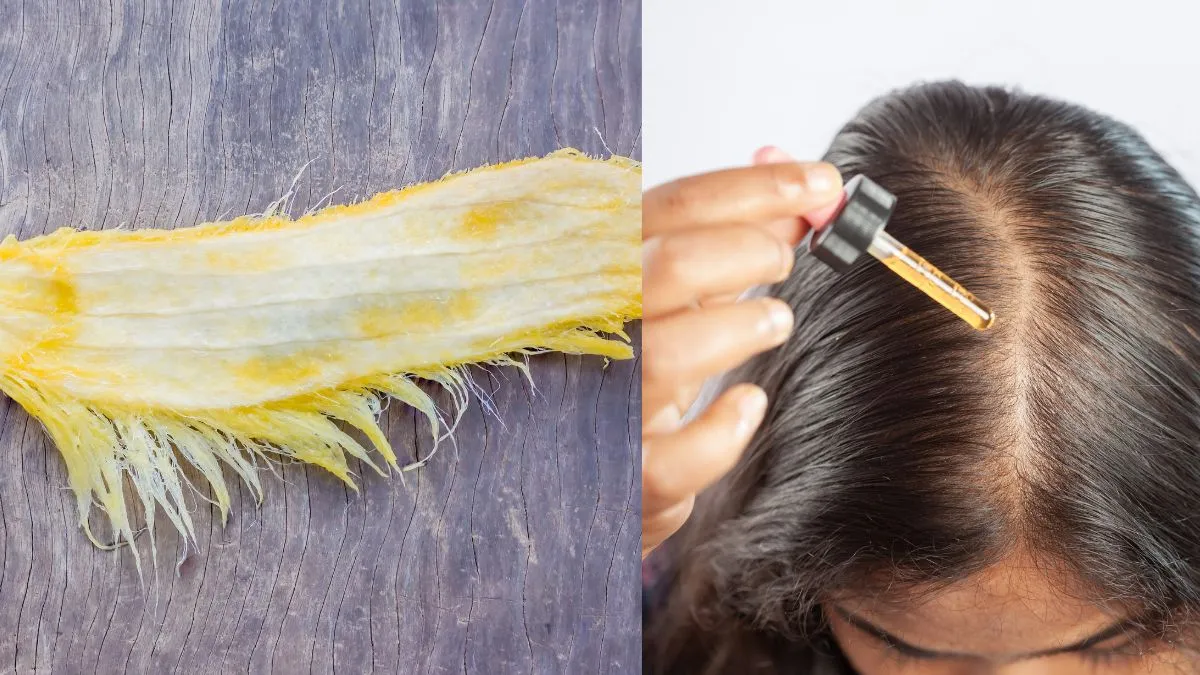 How To Make DIY Mango Seed Oil At Home For Rapid Hair Growth?