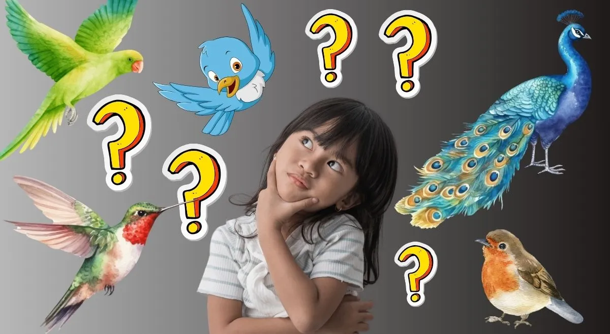 What Bird Am I? 30+ Fun Riddles For Kids With Answers