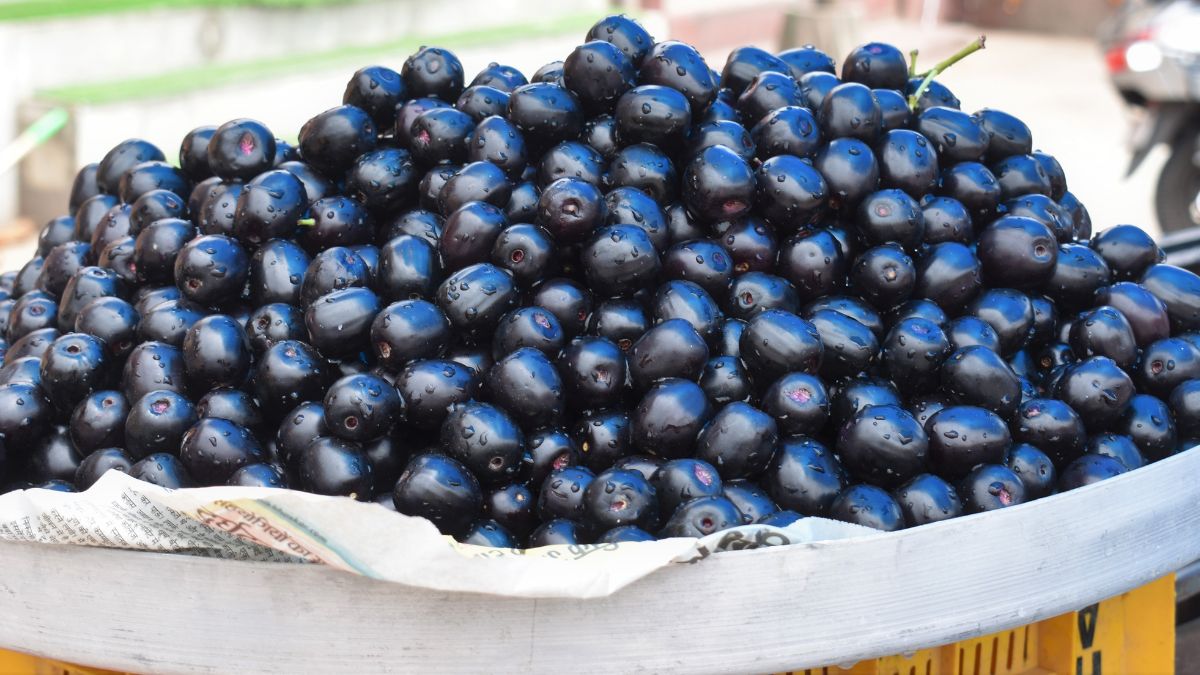 Top 10 Plum-Producing Countries In The World: What Are The Health ...