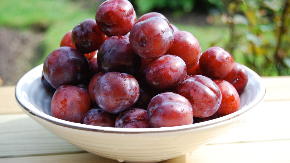 Top 10 Plum-Producing Countries In The World: What Are The Health ...