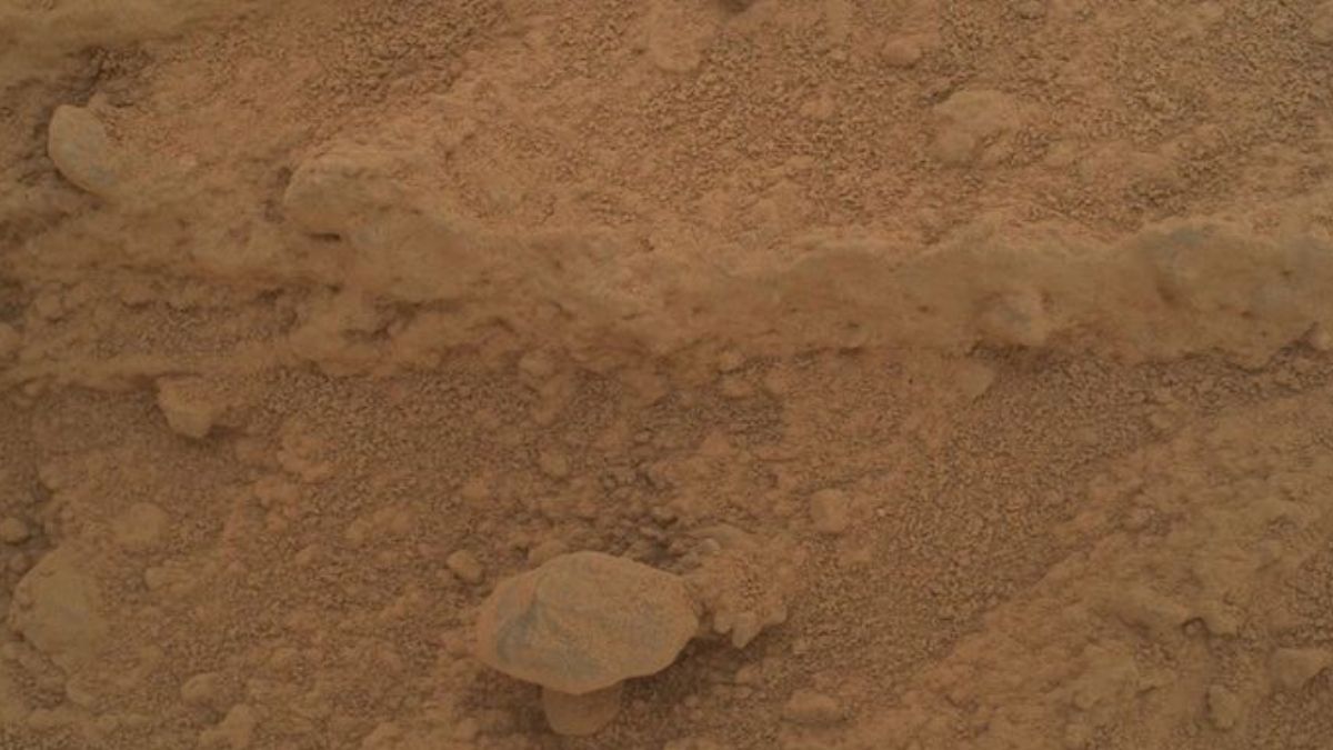 ‘Mushroom’ On Mars? Old NASA Image Resurfaces, Sparks Fresh Debate On ...