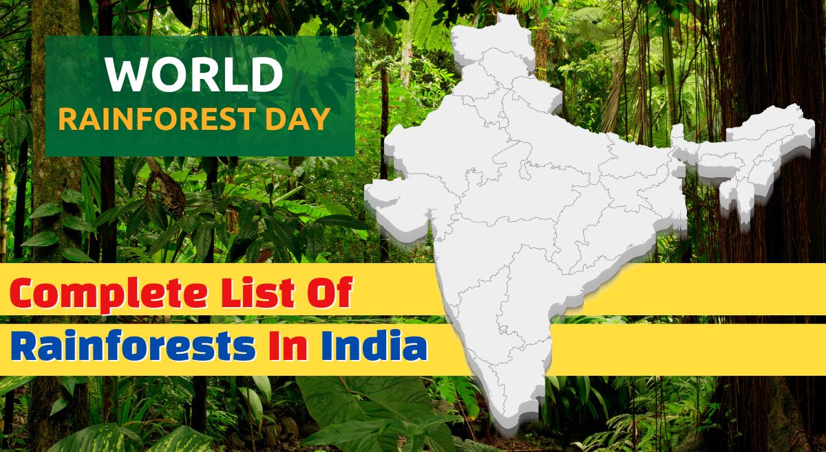 World Rainforest Day 2025: Complete List Of Rainforests In India