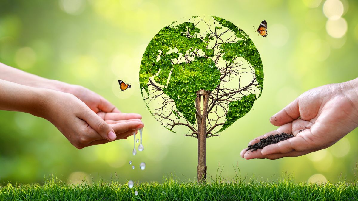 World Rainforest Day 2025: 50+ Inspiring Quotes And Messages To Protect ...