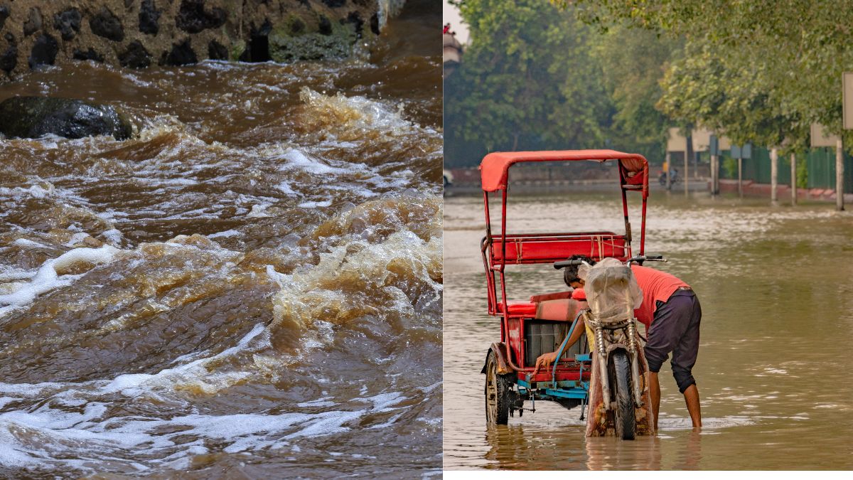 Madhya Pradesh Weather Update: Sindh River In Spate After Heavy Rain ...