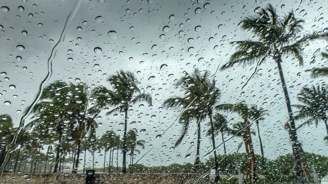 Maharashtra Weather Update: IMD Issues Yellow Alert For Heavy Rainfall ...