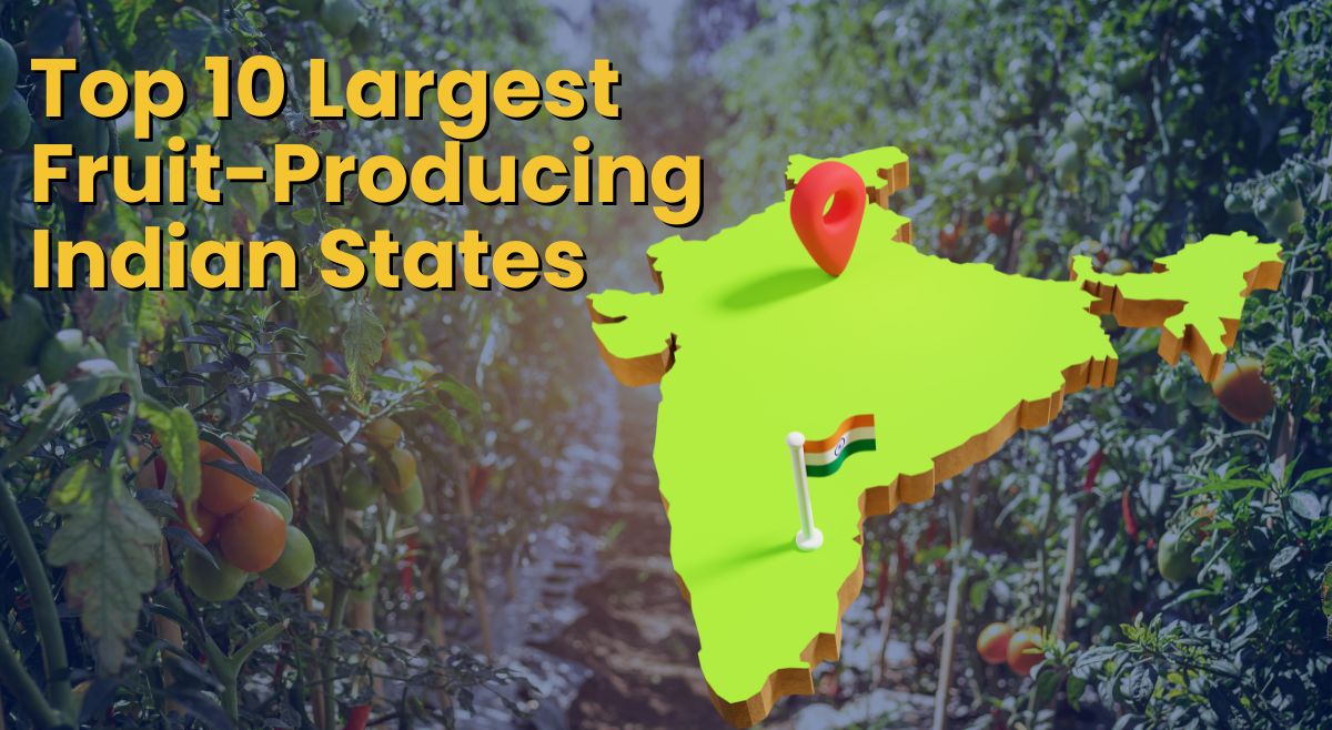 Which Are The Top 10 Indian States That Lead In Fruit Production?