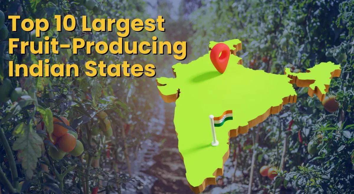 Which Are The Top 10 Indian States That Lead In Fruit Production?