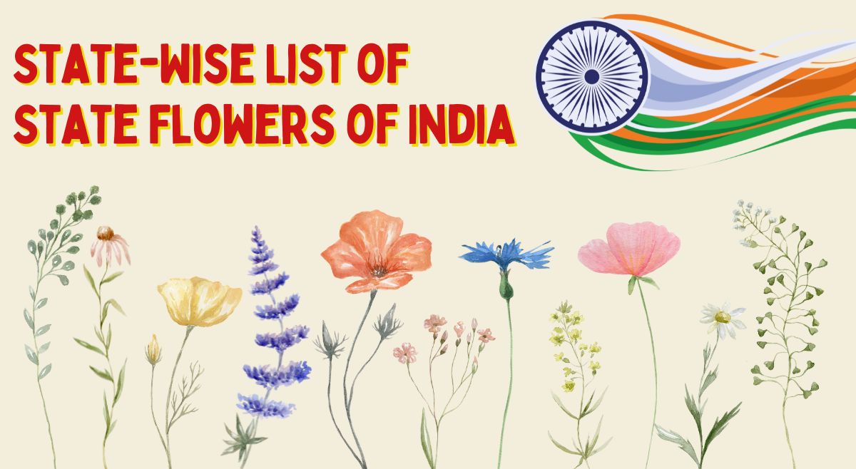 What Are The State Flowers Of India And Their Scientific Names?