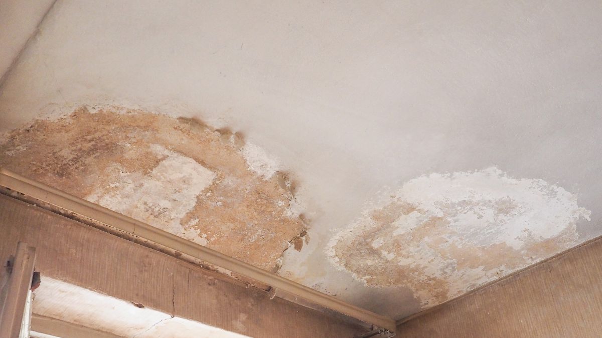 How To Keep The Walls Damp-Free In This Monsoon?