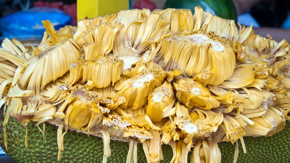Which Are The Top Jackfruit Producing Countries In The World? Know Its Surprising Uses And ...