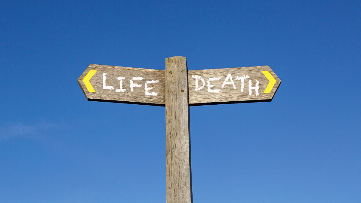 50+ Powerful Quotes On Life and Death Cycle That Will Touch Your Soul