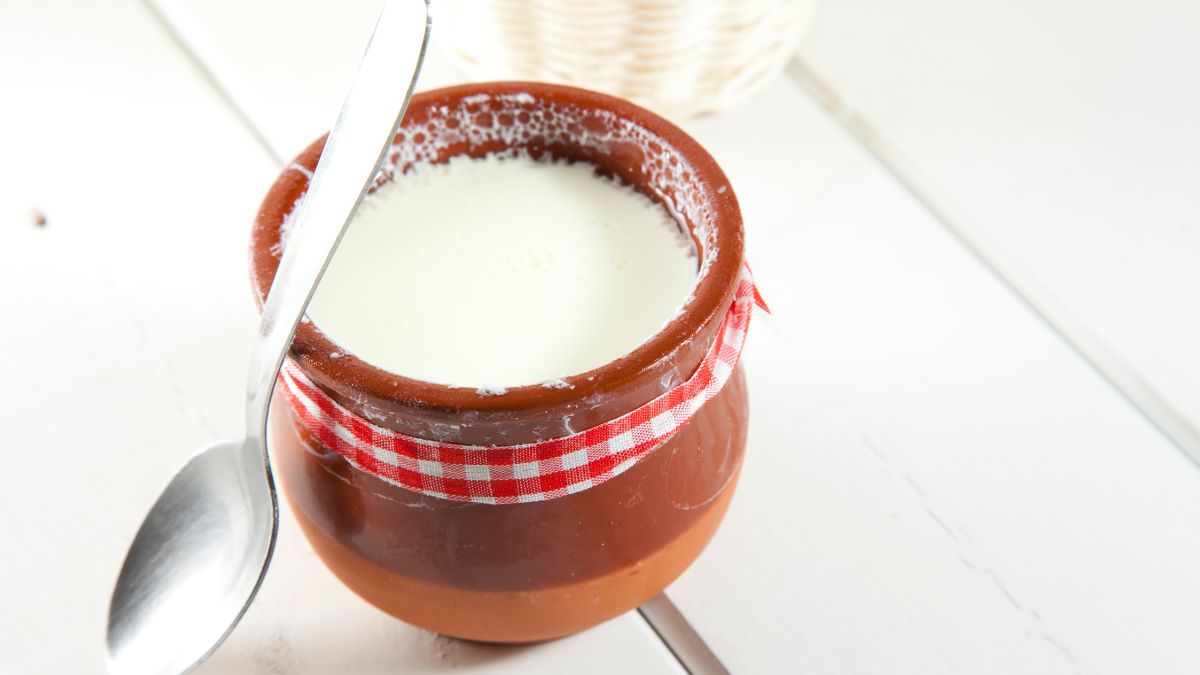 When Should You Avoid Curd According To Ayurveda?