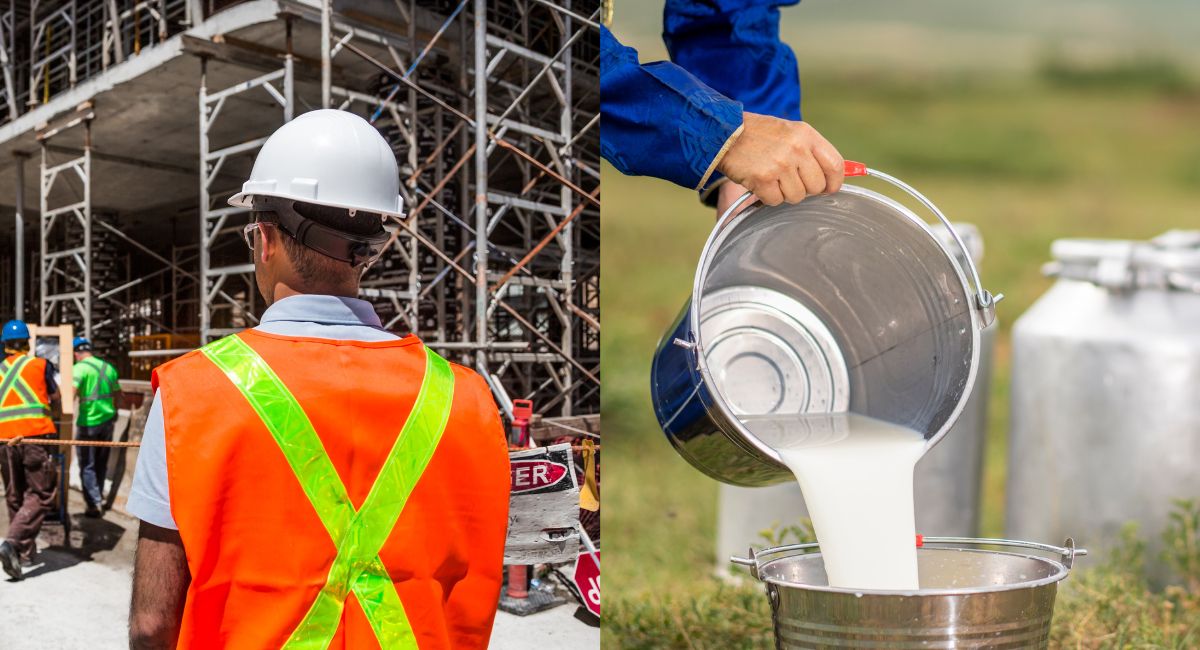 Bihar Approves Rs 2,506 Crore For Construction Of Panchayat Govt ...