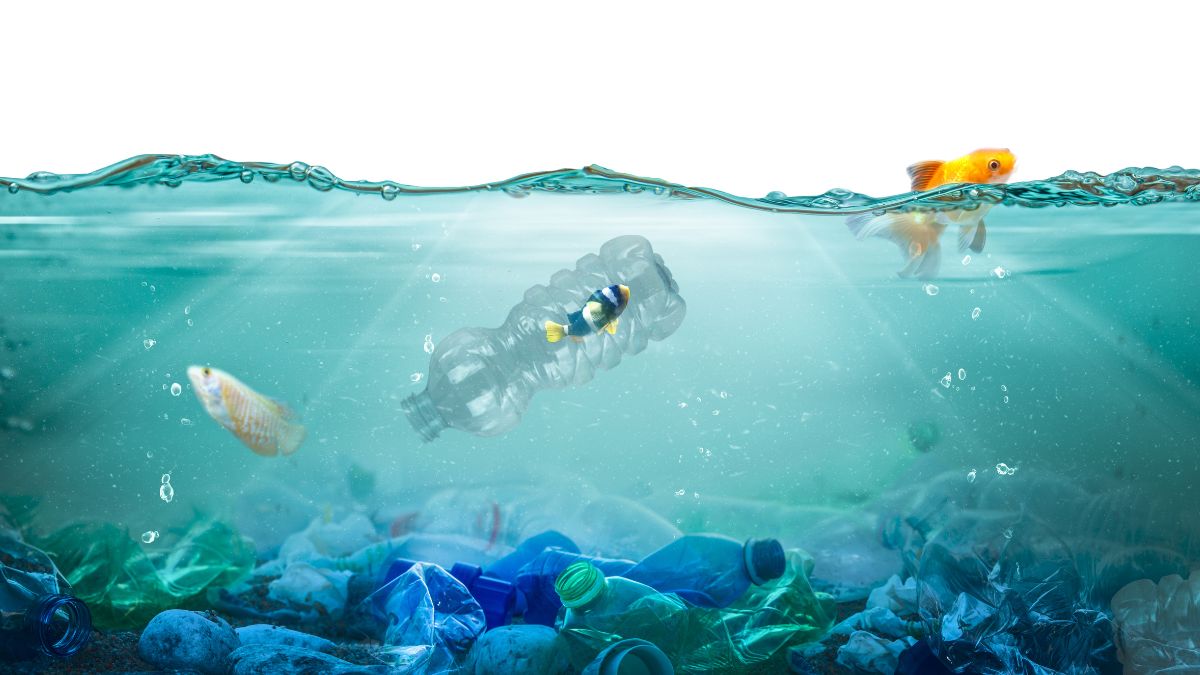 Top 10 Countries With Highest Plastic Pollution By 2025