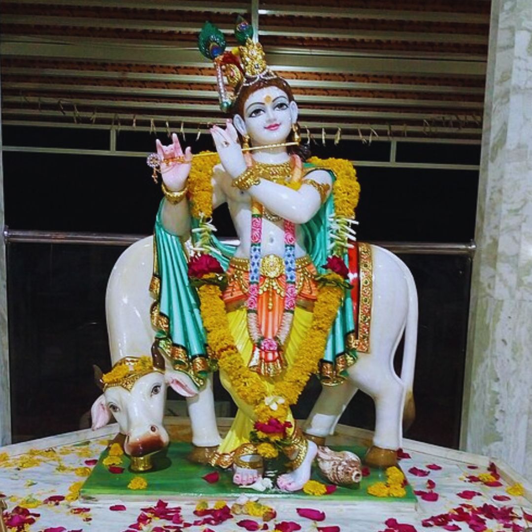 Gopadma Vrata 2025: Start And End Date; Know Significance And Rituals ...