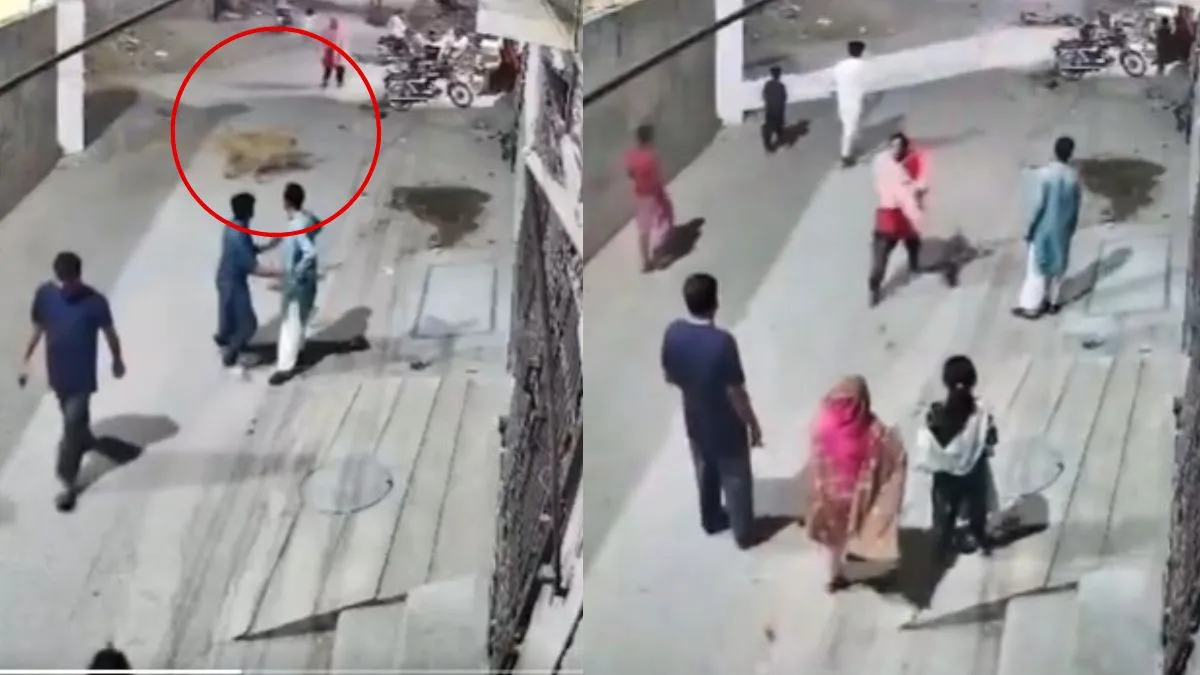 Pet Lion Goes On Rampage In Pakistan, Mauls Family While Owners Watch ...