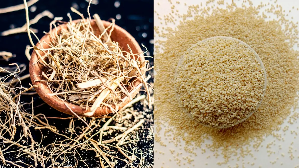 Khus vs Khus Khus: What Are The Real Differences Between These Two ...
