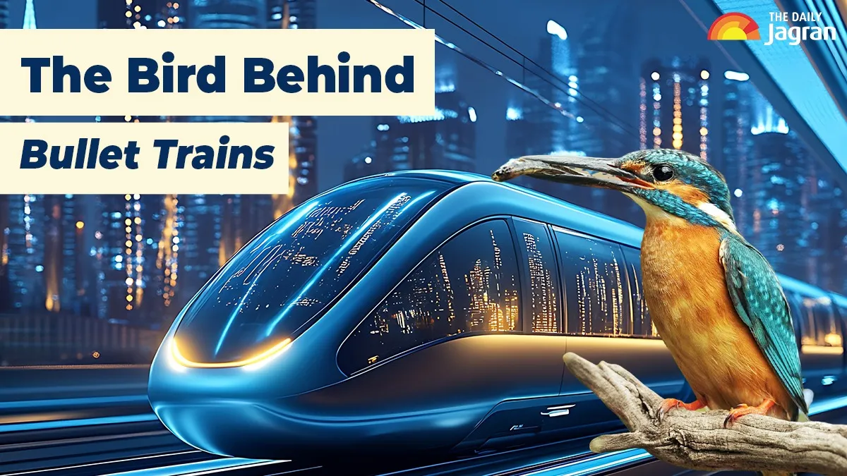 Did You Know: Why Bullet Trains Look Like Birds; The Kingfisher Connection