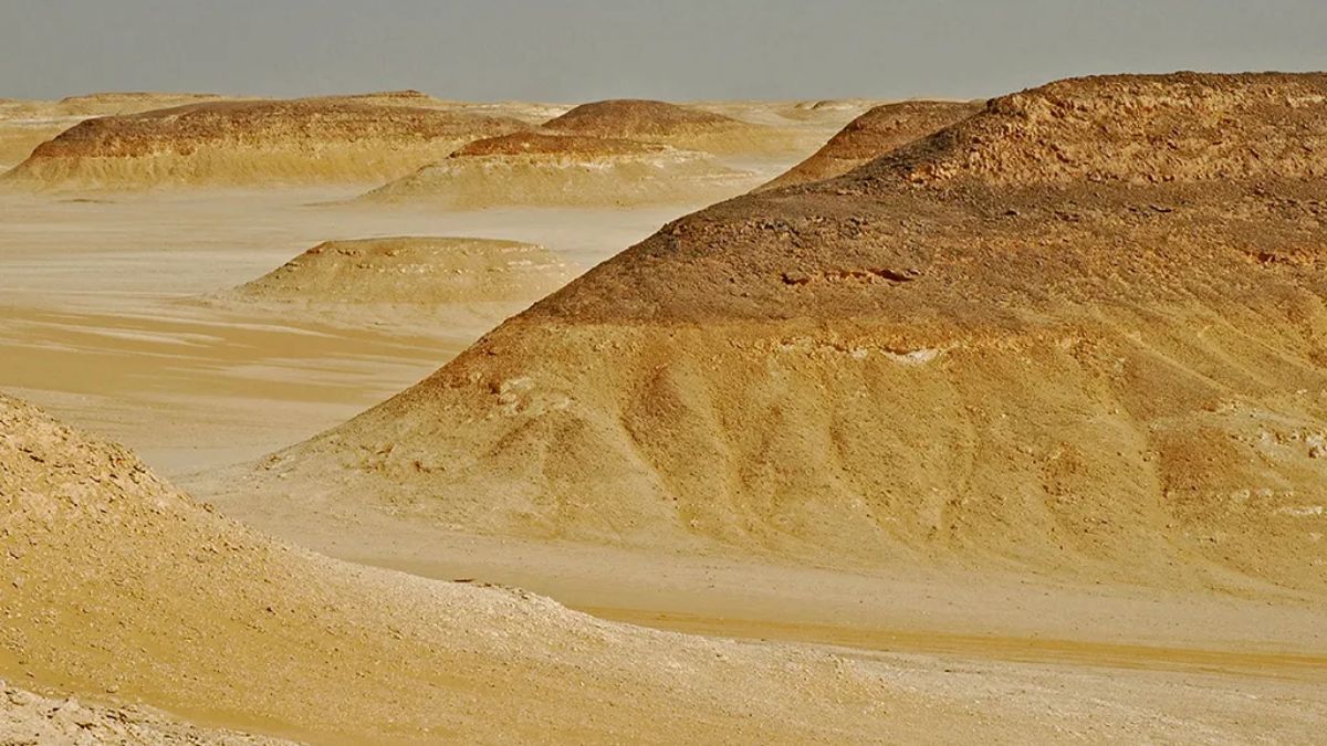 Top 10 Lowest Land Points On Earth: Dead Sea, Lake Assal, Death Valley ...