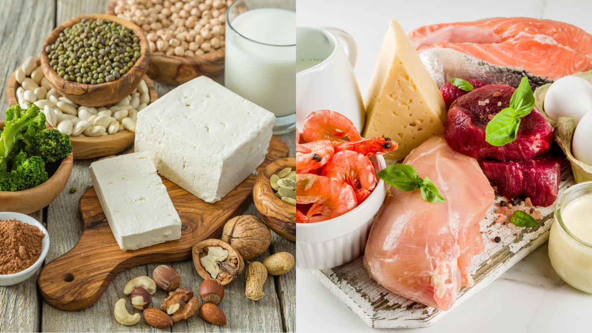 Plant Protein vs Animal Protein: Which Is Better For Building Muscle ...