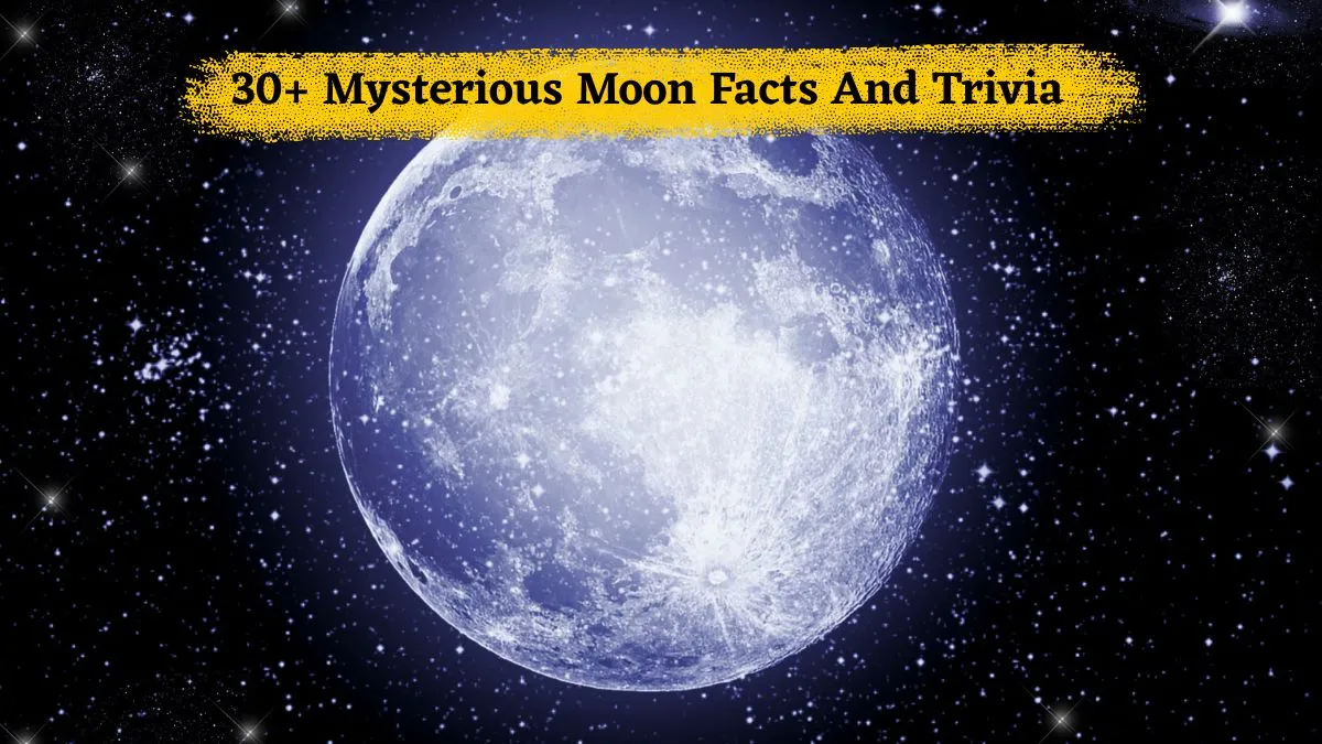 National Moon Day: 30+ Mysterious Moon Facts And Trivia You Never Knew