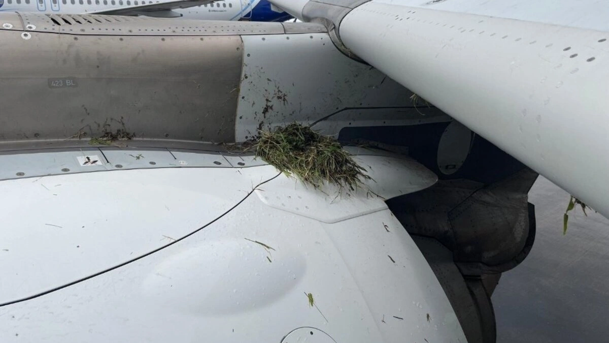 Air India Flight Veers Off Runway During Landing At Mumbai Airport ...