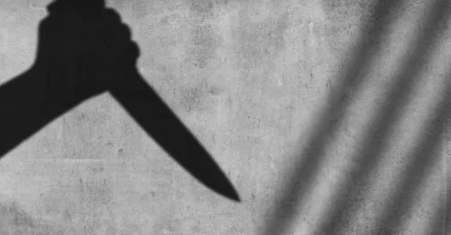 Jaipur Youth Stabbed 14 Times, Attacker Flaunts Knife On Social Media ...