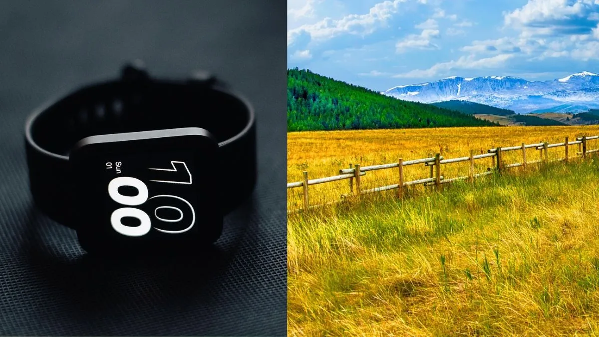 How A Smartwatch Led Rescuers To Trace A Missing Plane In Montana’s Forests