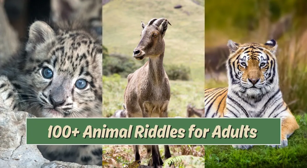 100+ Animal Riddles For Adults With Answers