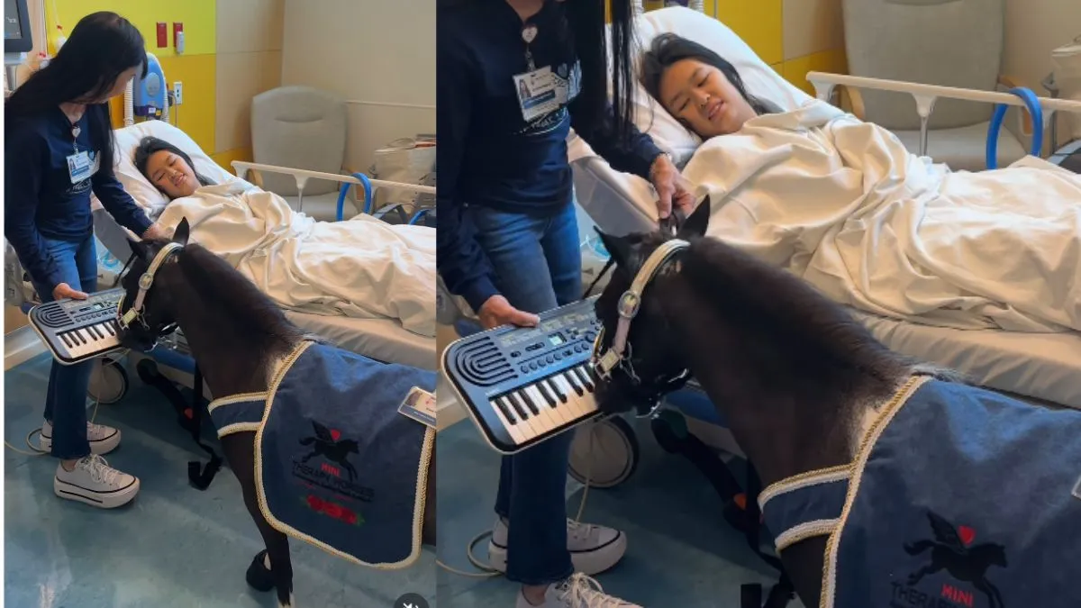 Ever Thought Recovery Could Sound Like This? Therapy Horse Plays ...