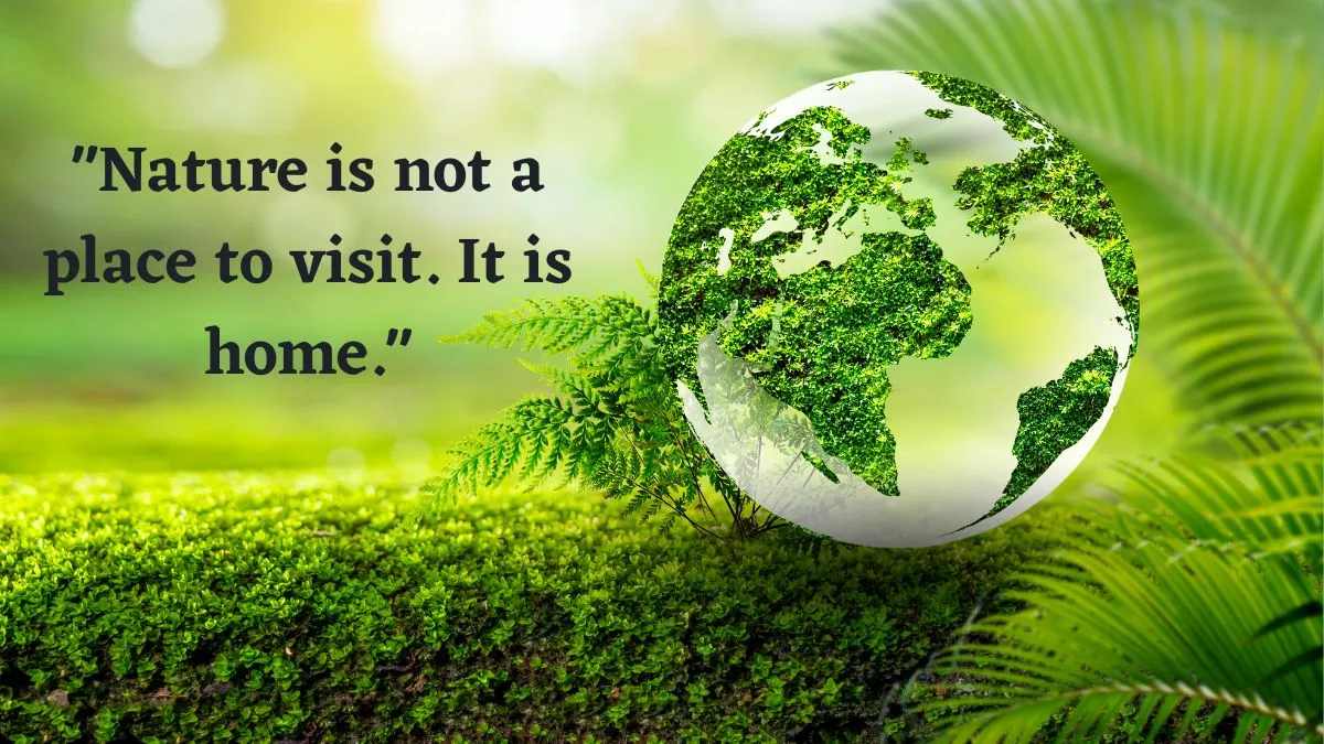 50+ Quotes To Protect Earth’s Beauty And Creatures On World Nature ...