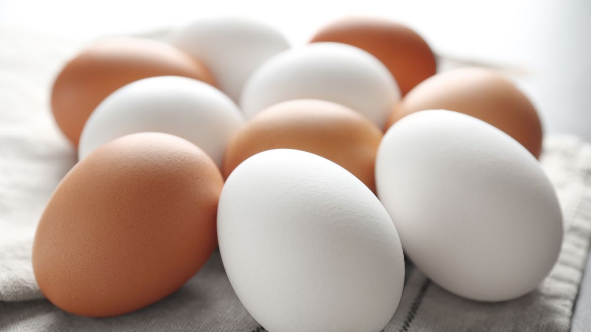 White Eggs vs Brown Eggs: What Is The Difference And Which One Should ...