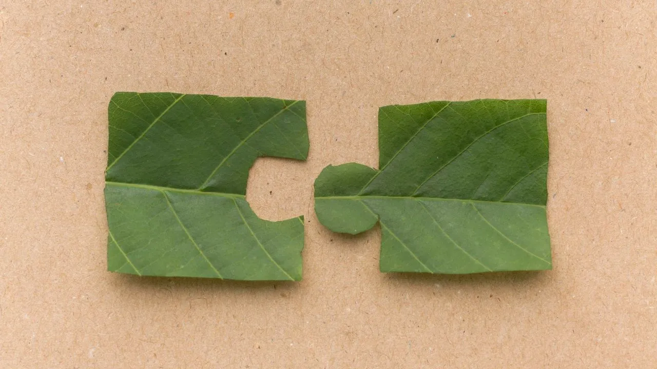 NYT Connections Puzzle #780 For July 30: Easy Clues, Fun Patterns, And ...