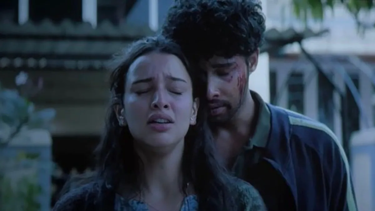 Dhadak 2 Box Office Collection Day 2: Siddhant Chaturvedi And Triptii ...