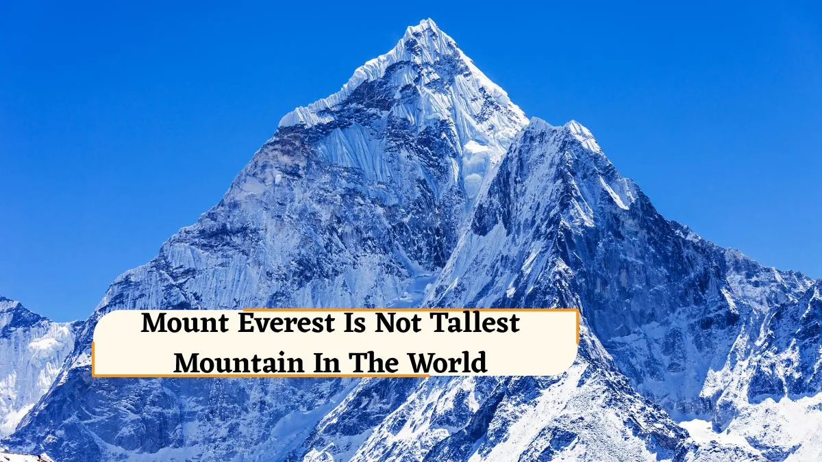 Mount Everest Is Not Tallest Mountain In The World- Find Out Which One Is!