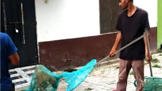 UP: Crackdown On Stray Dogs Begins, 15 Canines Caught On Day 1 In Hapur ...