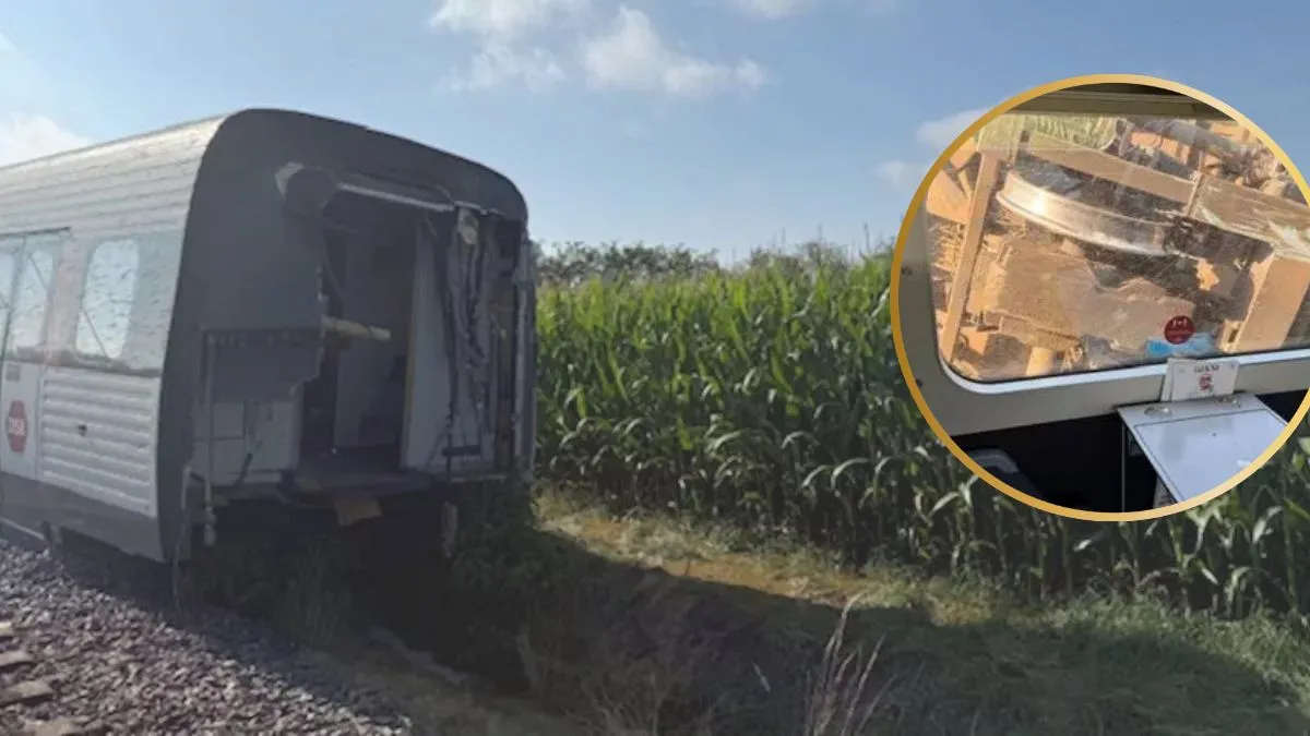 Denmark Train Accident: One Killed, Several Injured After Multiple ...