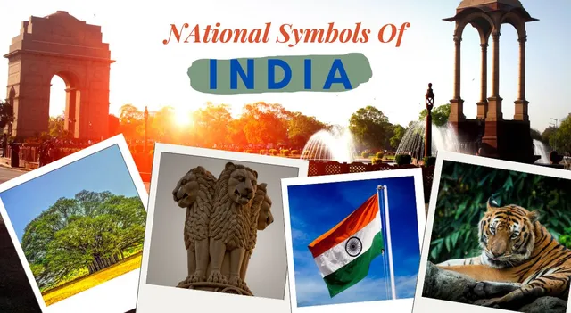 List Of 17 National Symbols Of India And Their Meanings: From National ...
