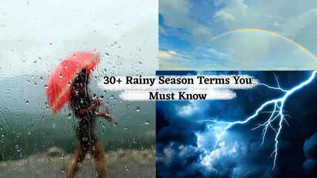 30+ Rainy Season Terms You Must Know: Drizzle, Downpour, Cloudburst And ...